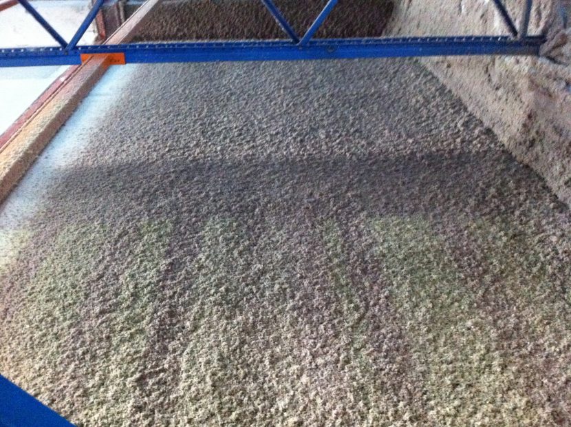 Genisis Technology – Green Technology Solutions